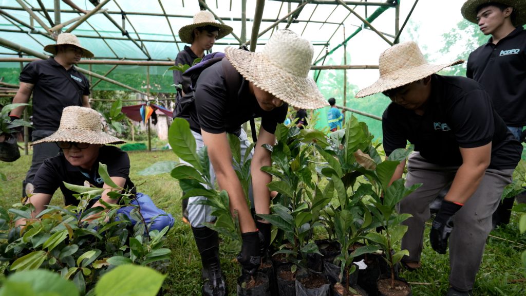 Ahunan Plants 2,500 Saplings in Laguna, Builds Path to 200,000-Seedling ...